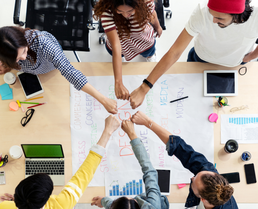 Case Studies - Premier Plan Consultants