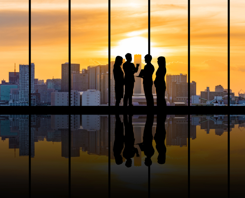 Case Studies - Premier Plan Consultants